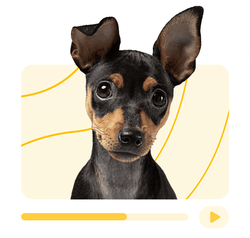 GoodCharlie | Join The Pack